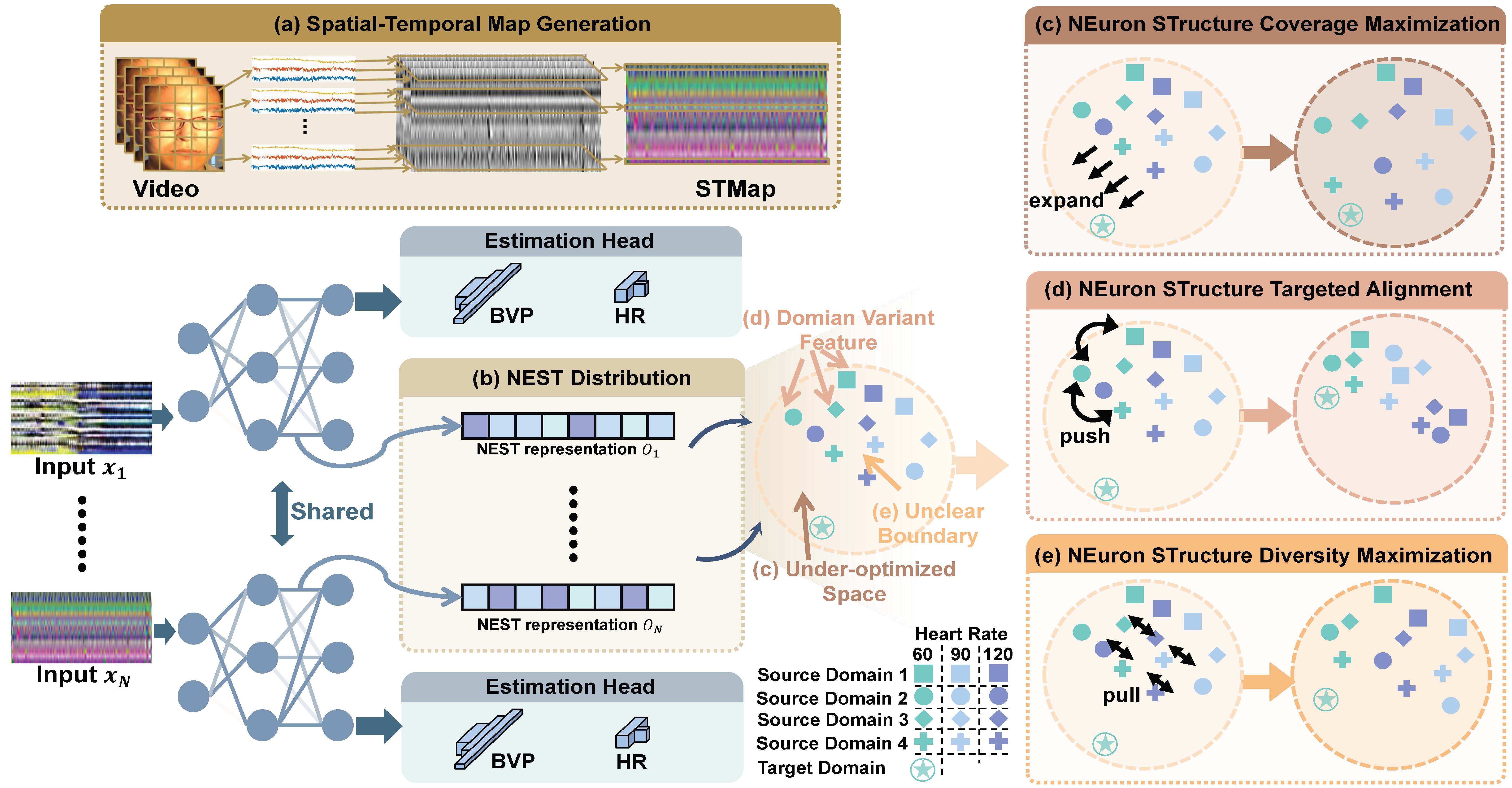 Neuron Structure Modeling for Generalizable Remote Physiological Measurement | Ying-Cong Chen